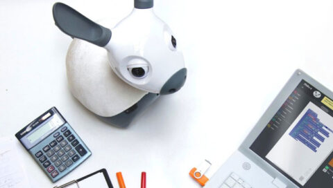 Imagine the Unimaginable with MiRo Robotics & Technology - The ...